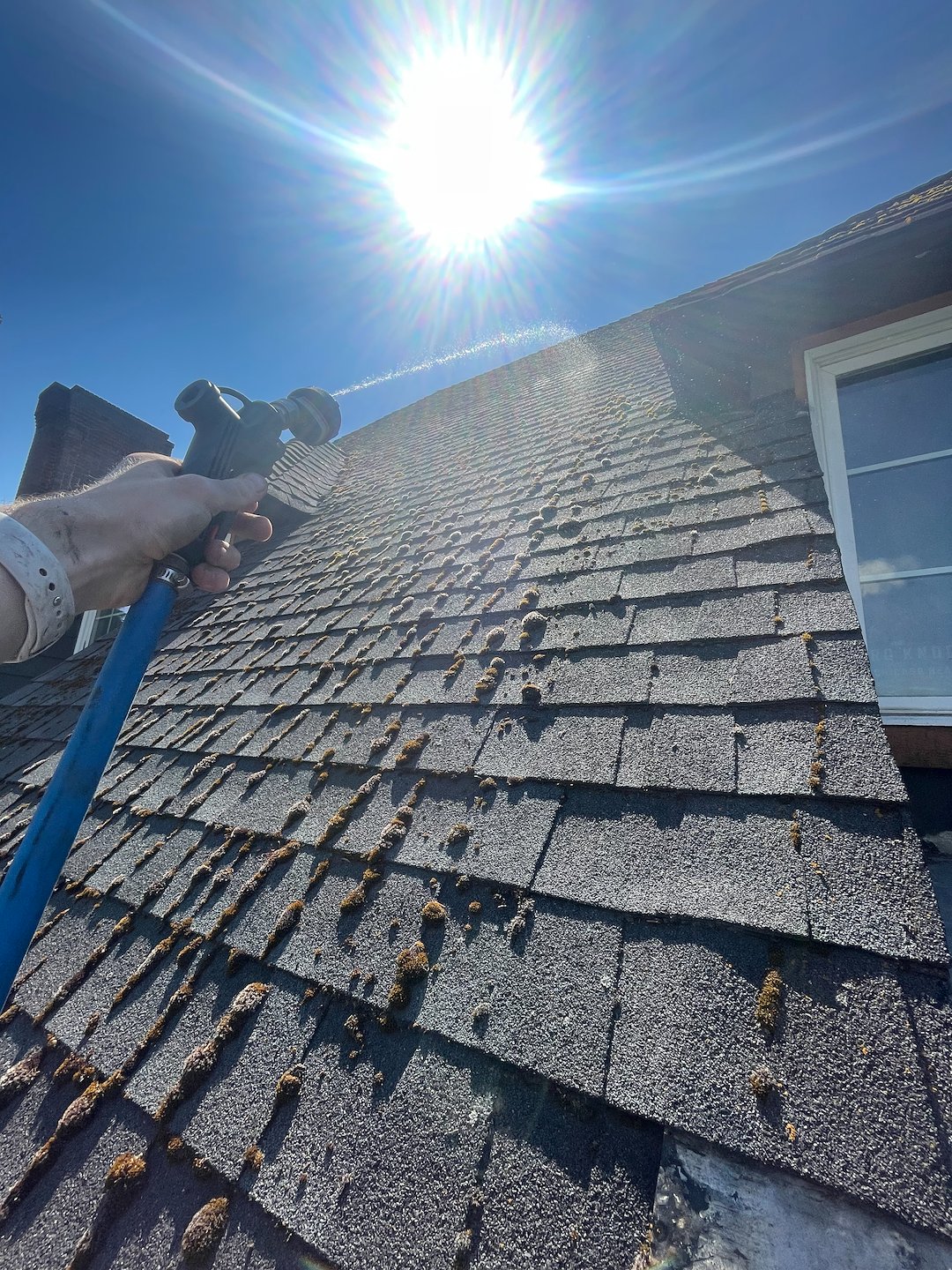 WSU Fraternity House Wash, Roof Wash, and Gutter Clean Out